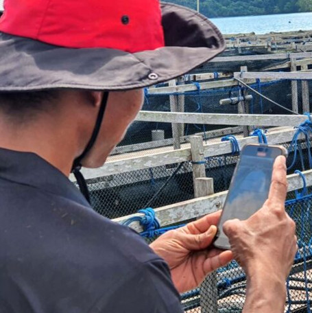 Farmlink AIoT - The Fish Farmer